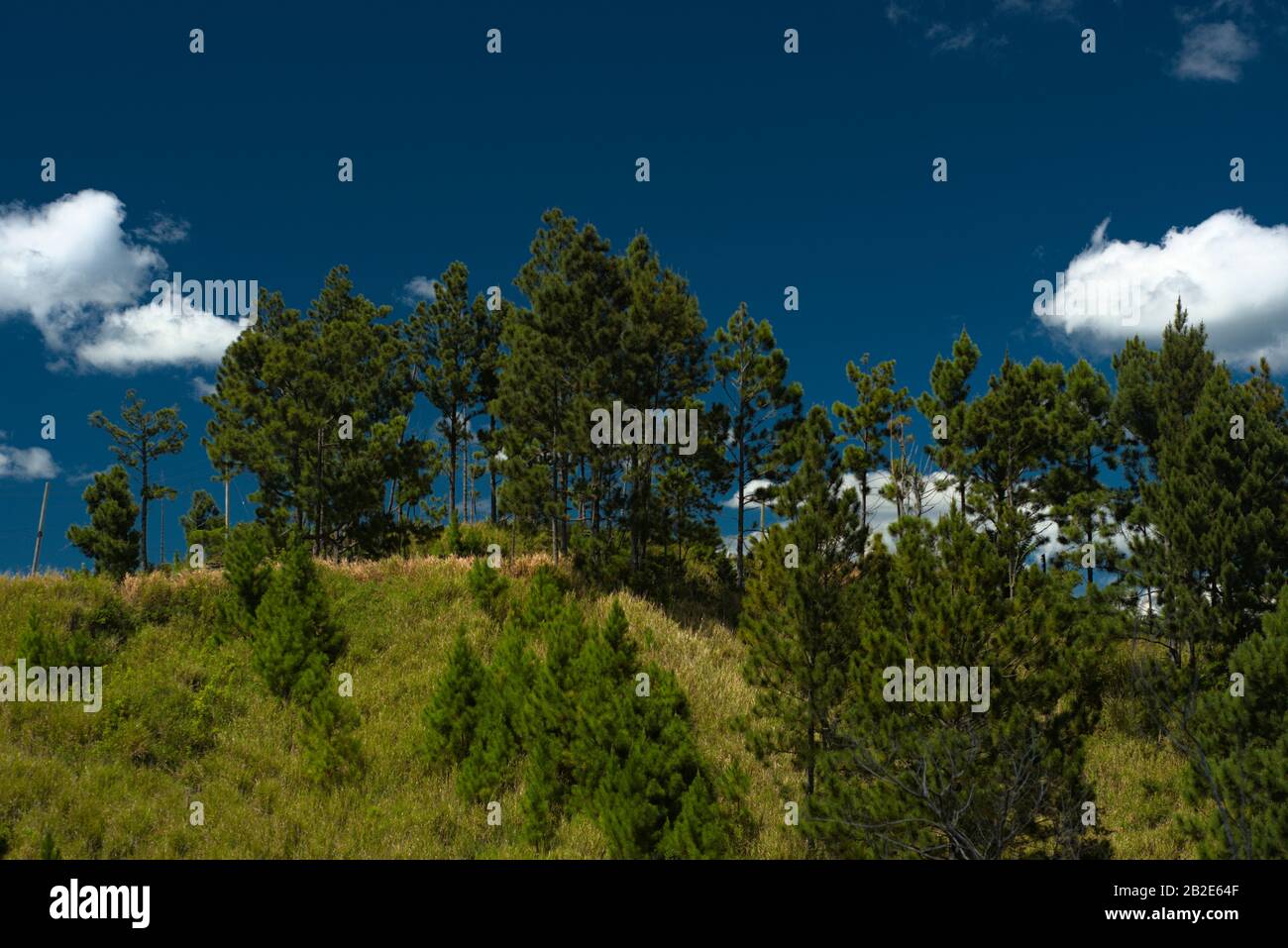 Maricao puerto rico hi-res stock photography and images - Alamy