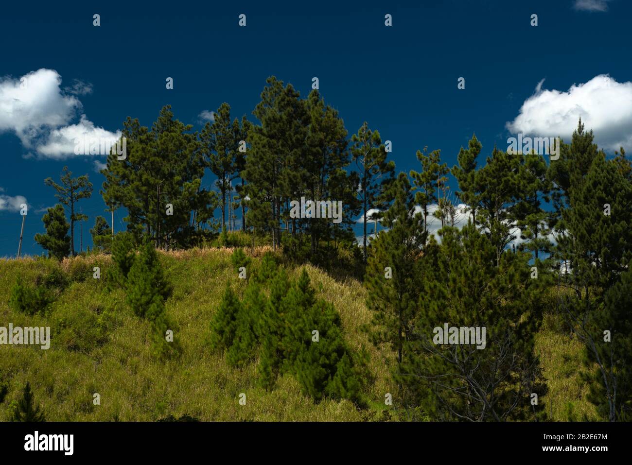 Maricao puerto rico hi-res stock photography and images - Alamy