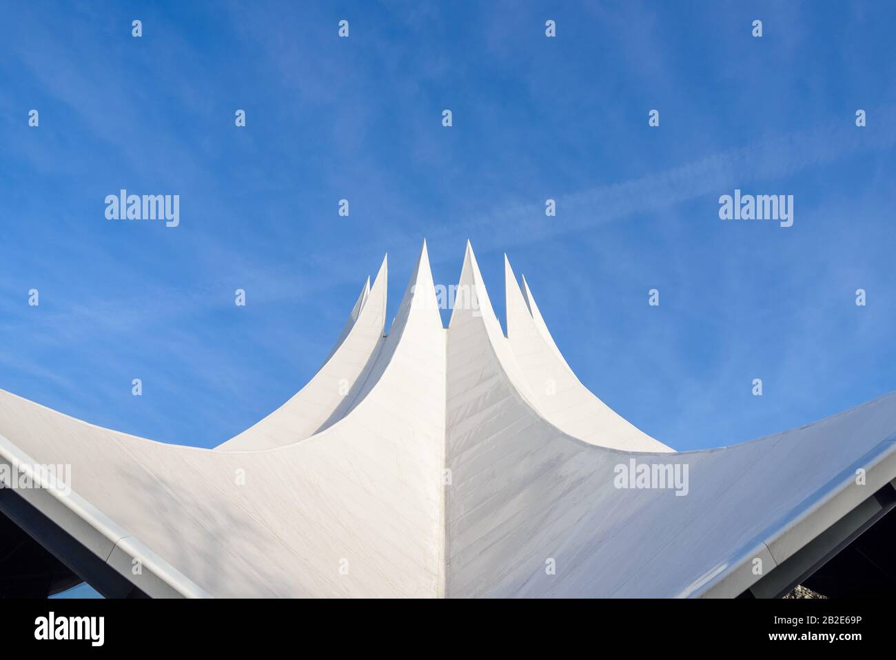 Shell Structure High Resolution Stock Photography and Images - Alamy