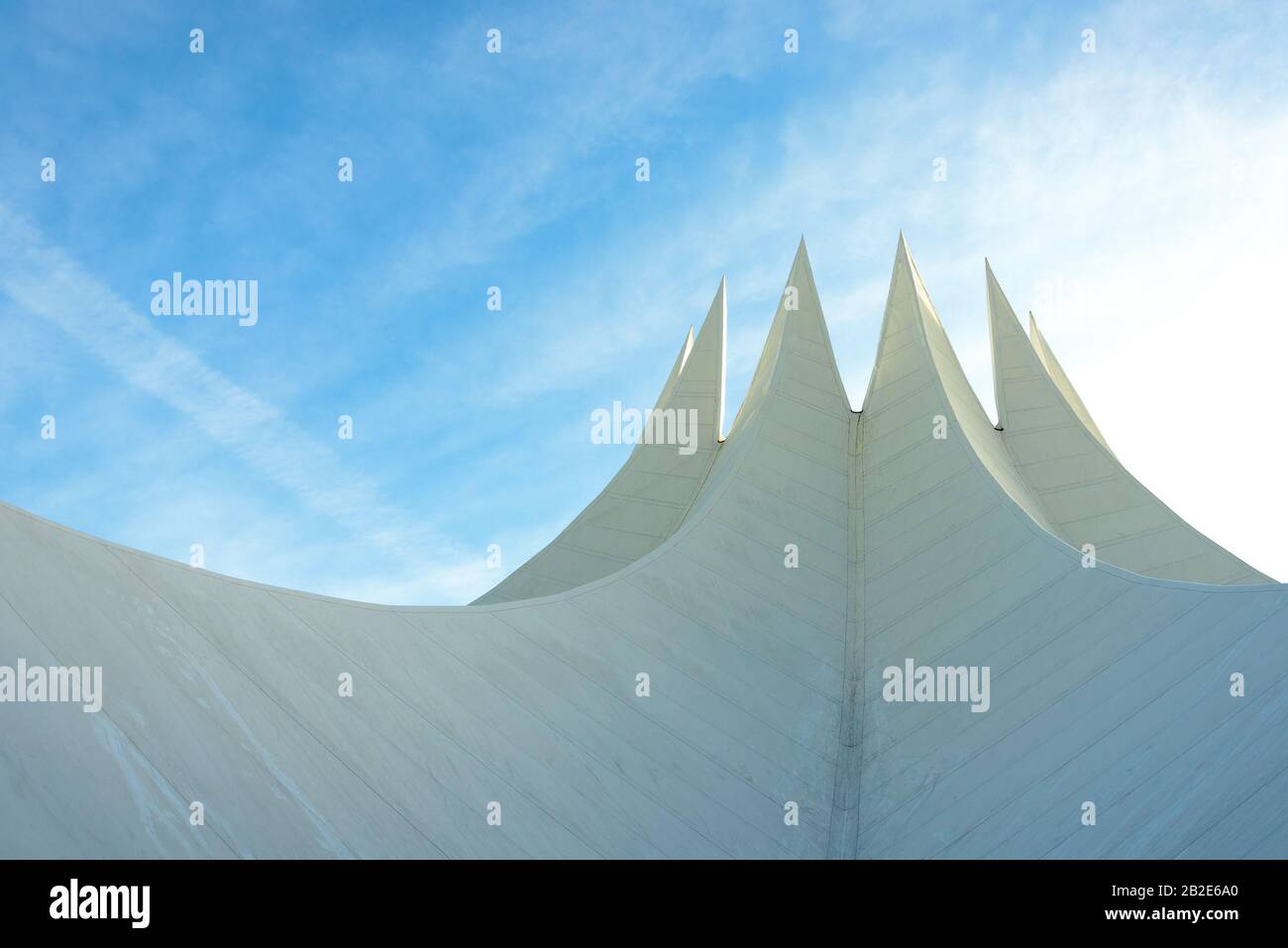 Shell Structure High Resolution Stock Photography and Images - Alamy