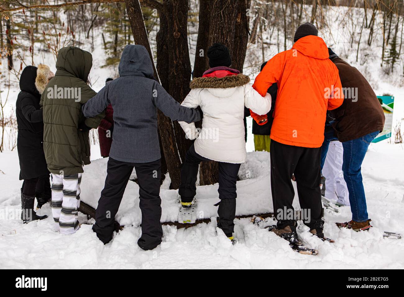 A group of environmentalists standing around the tree and holding hands ...