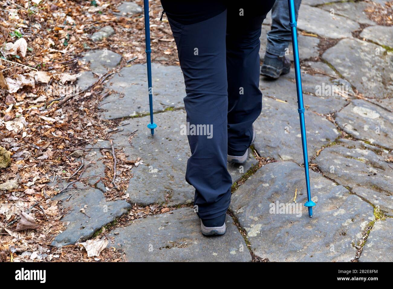 Hikers walk on the ancient Roman pavement, among the vegetation in the ...