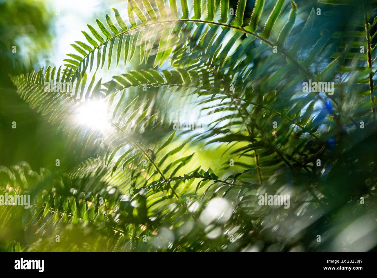 Grouping hi-res stock photography and images - Alamy