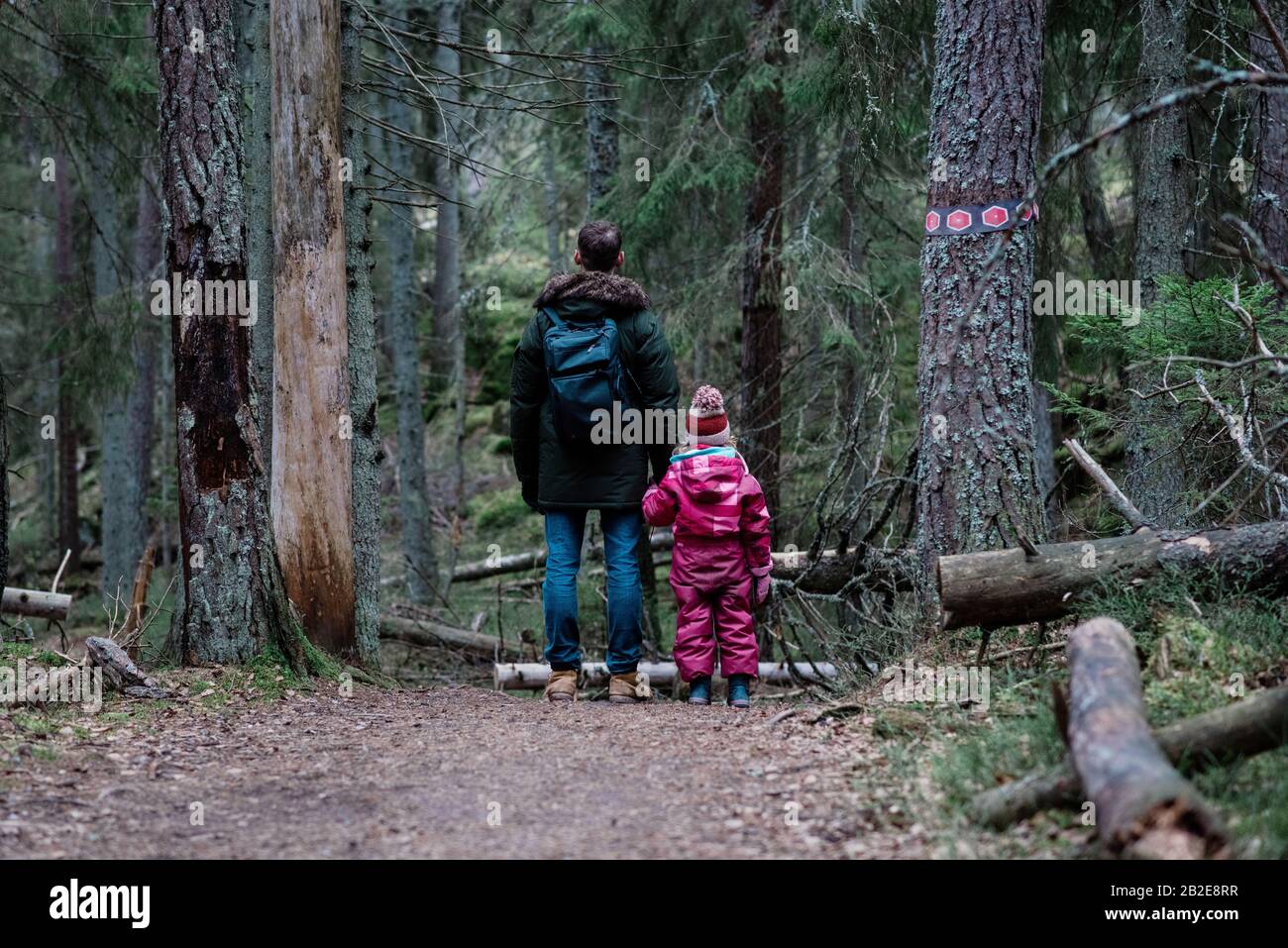 Father and daughter together in the forest hi-res stock photography and ...
