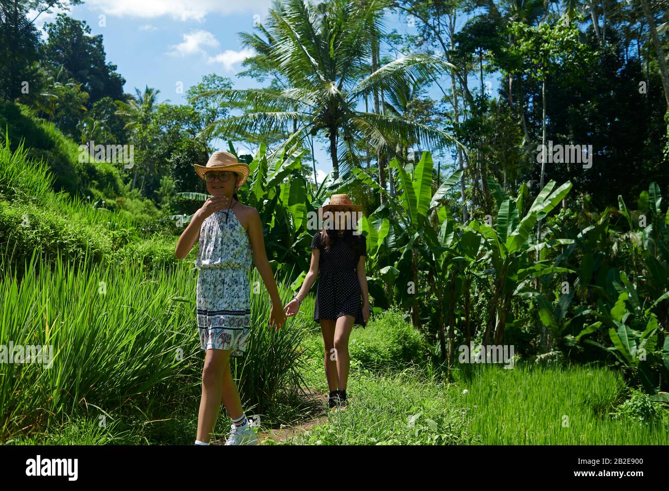 Two young Asian girls enjoying exploring the rice terraces in Bali ...