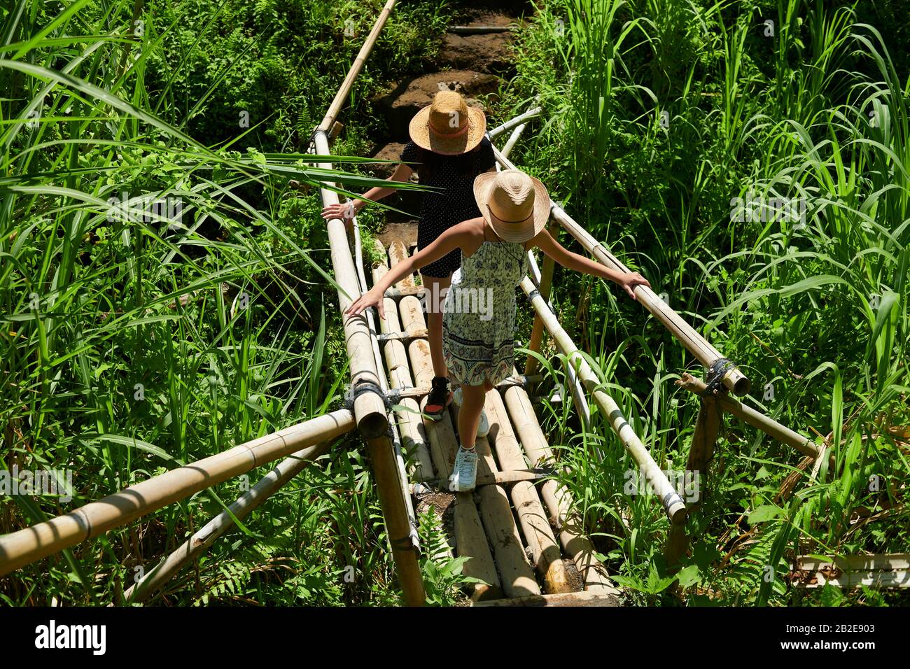 Two young teenage girls crossing a bamboo bridge on the rice terraces ...