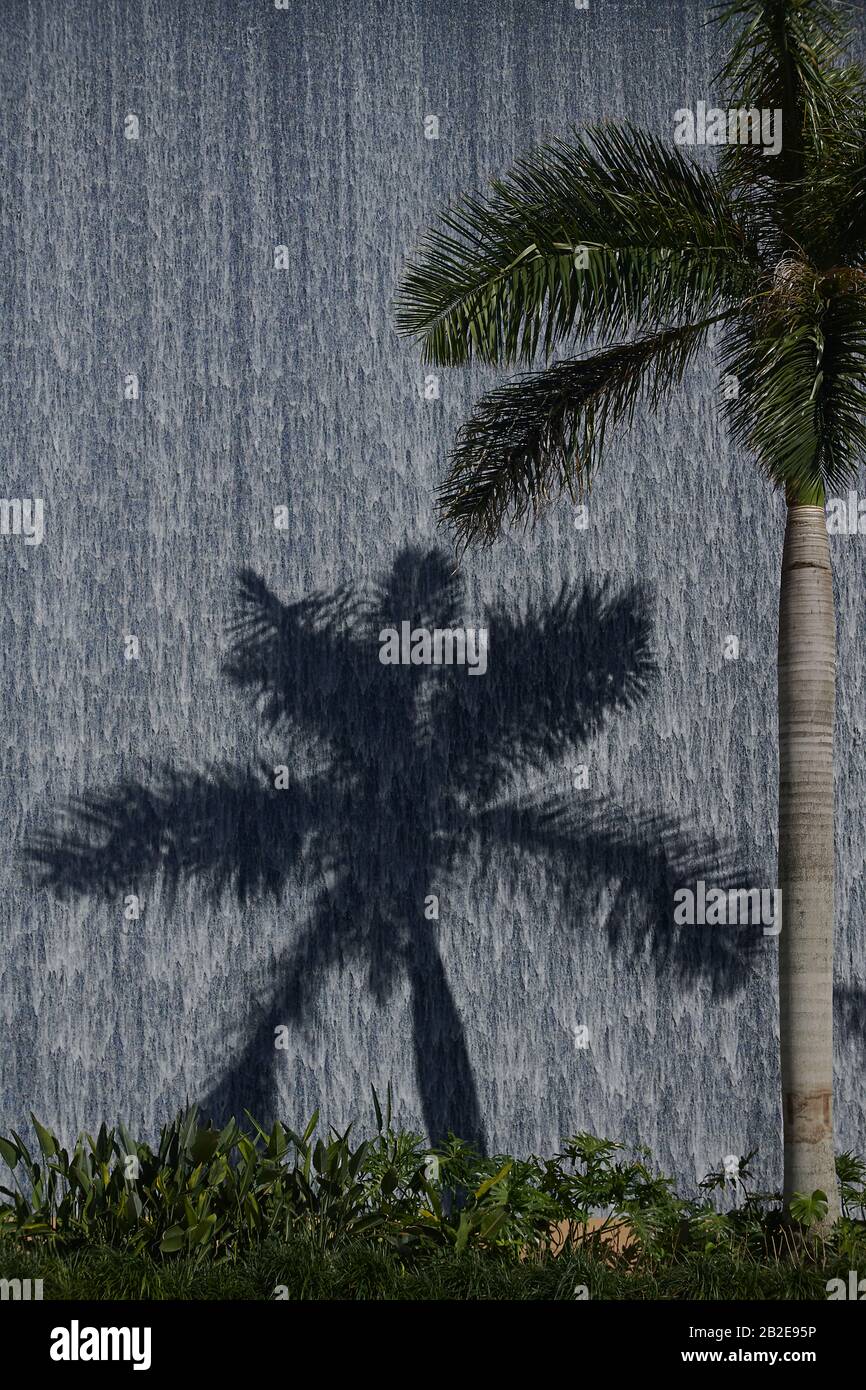 Water feature with water running down a large stone wall and palm tree ...