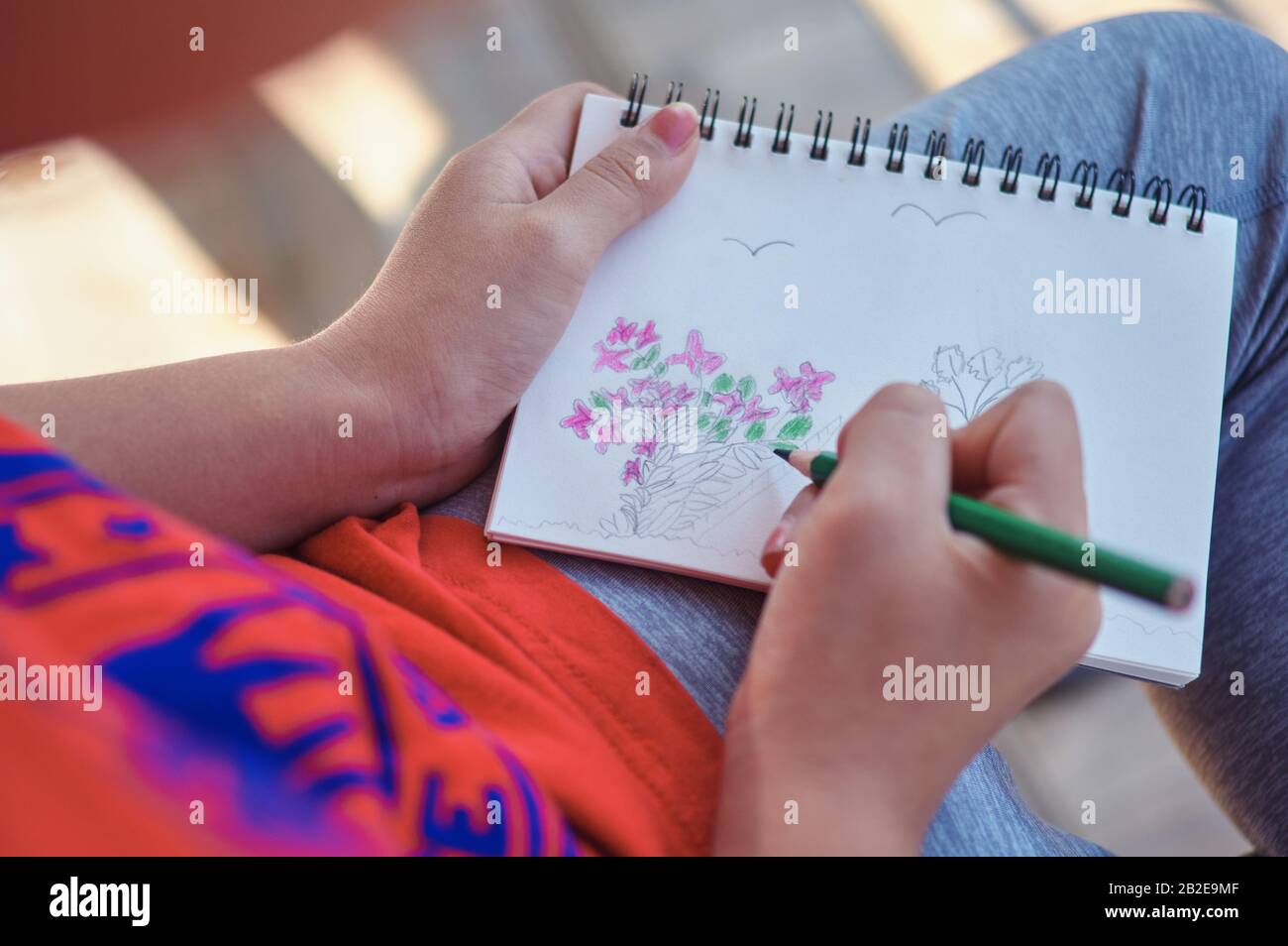 Drawing flowers hi-res stock photography and images - Alamy