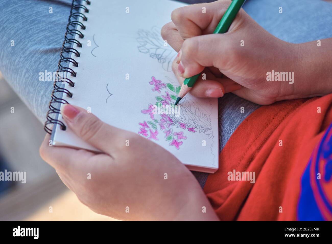 Drawing flowers hi-res stock photography and images - Alamy