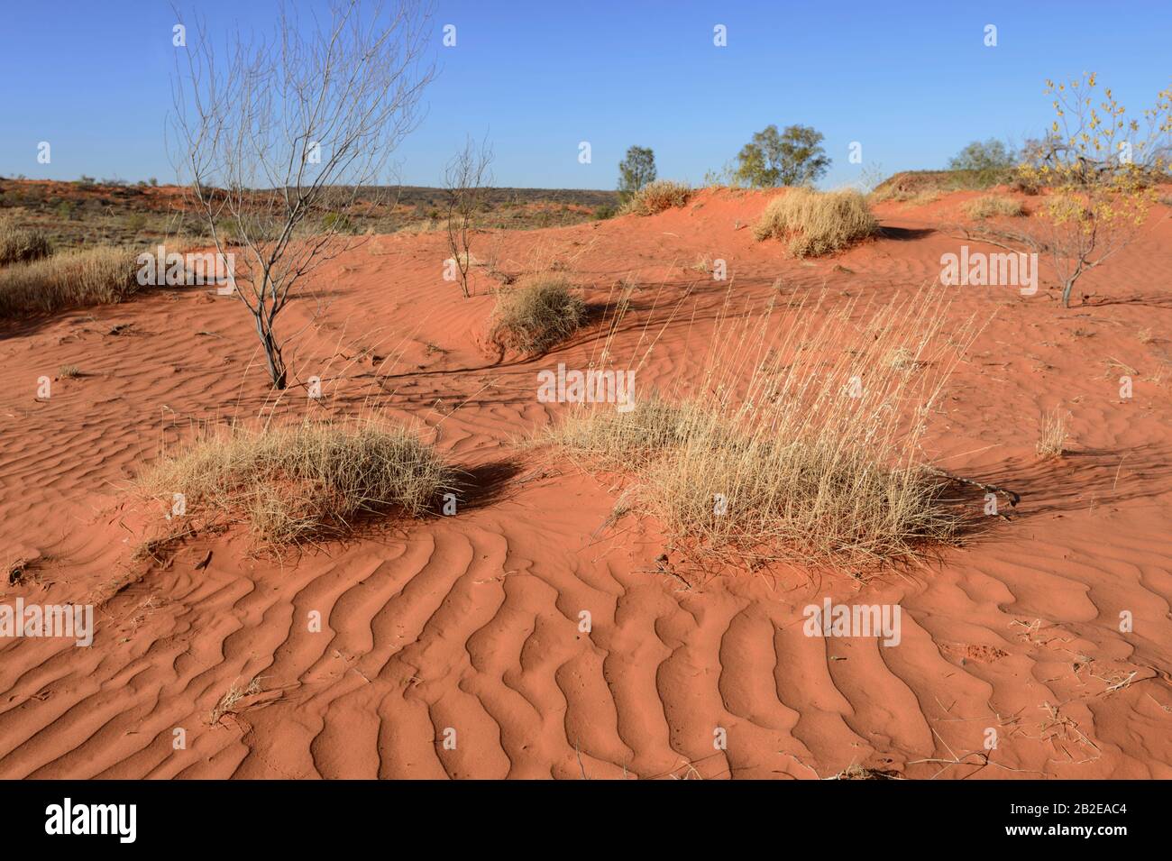 Australia red dunes outback hi-res stock photography and images - Alamy