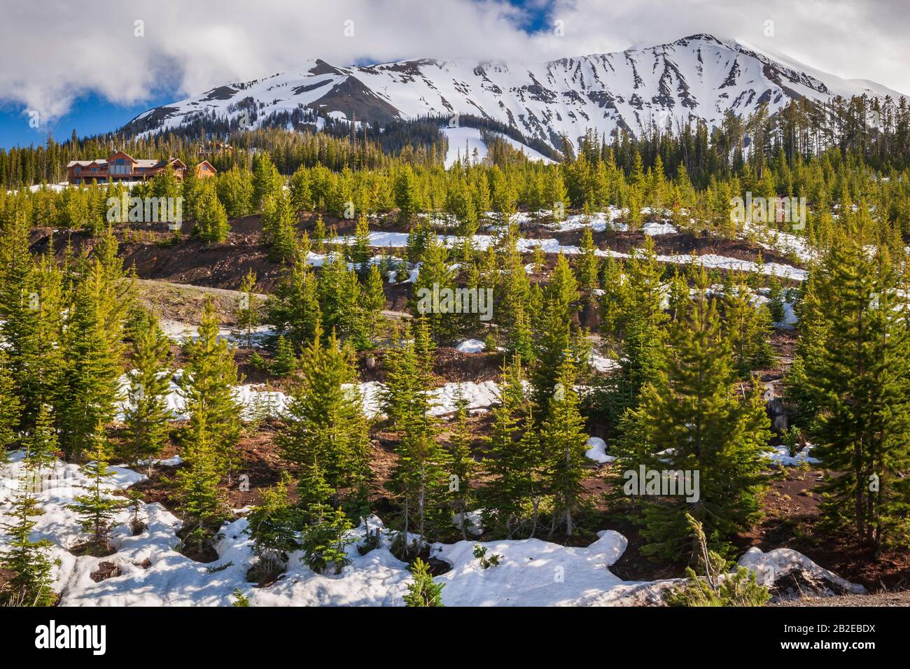 Moonlight Basin ski resort Montana set amongst pine trees and snow ...