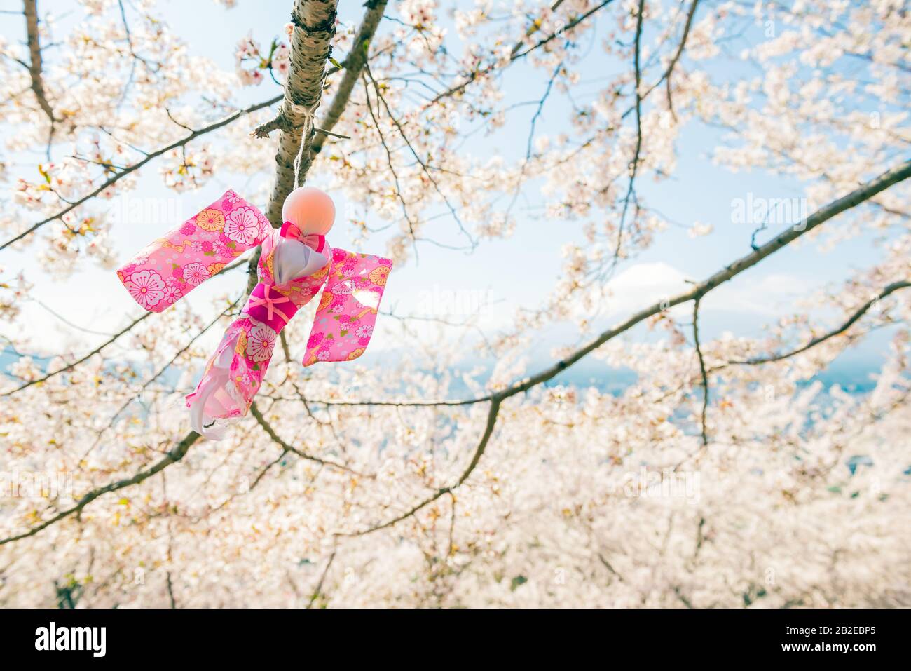 Teru Teru Bozu. Japanese Rain Doll hanging on Sakura tree to pray for ...
