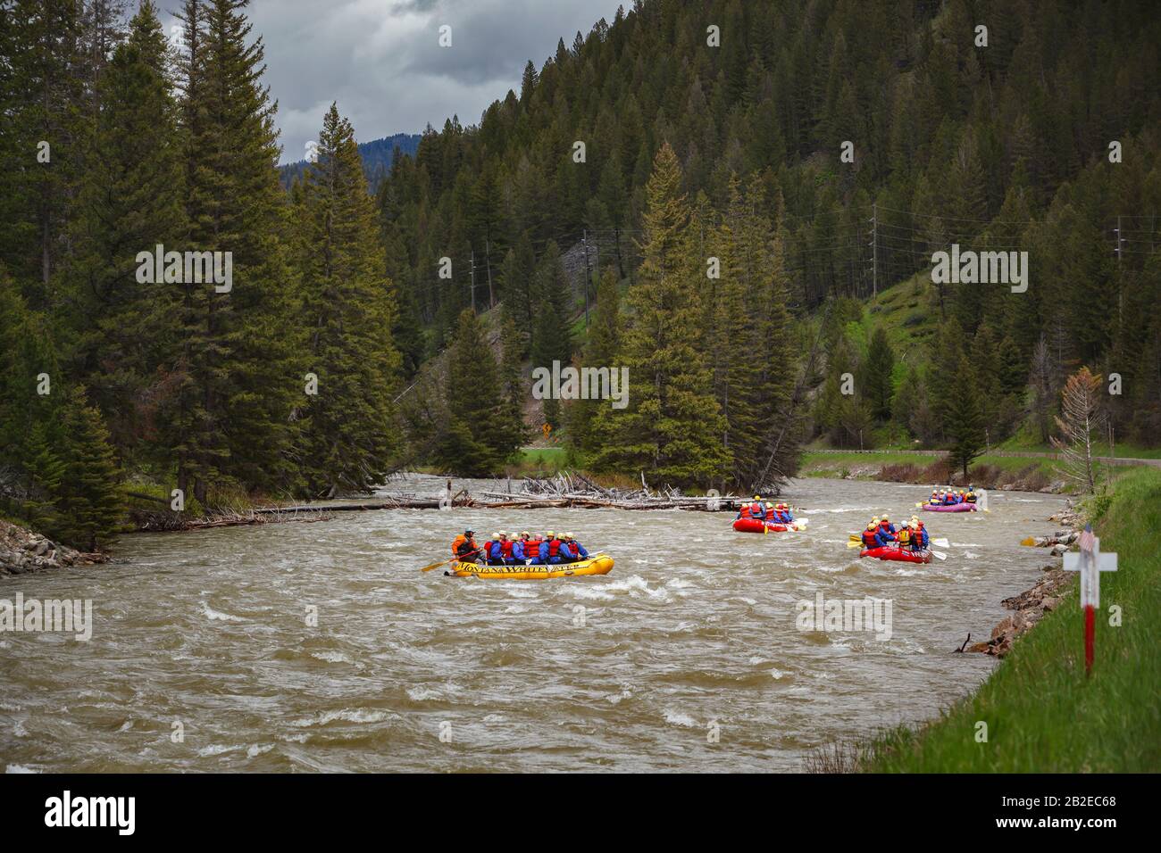 Montana Whitewater Rafting boats expedition along the Gallatin River ...