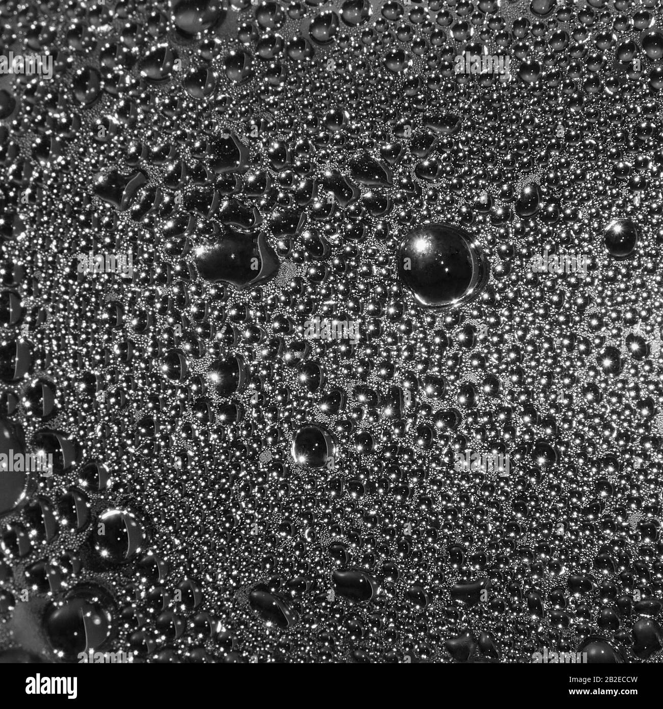 Natural dark silvery black water dew drops texture macro background ...
