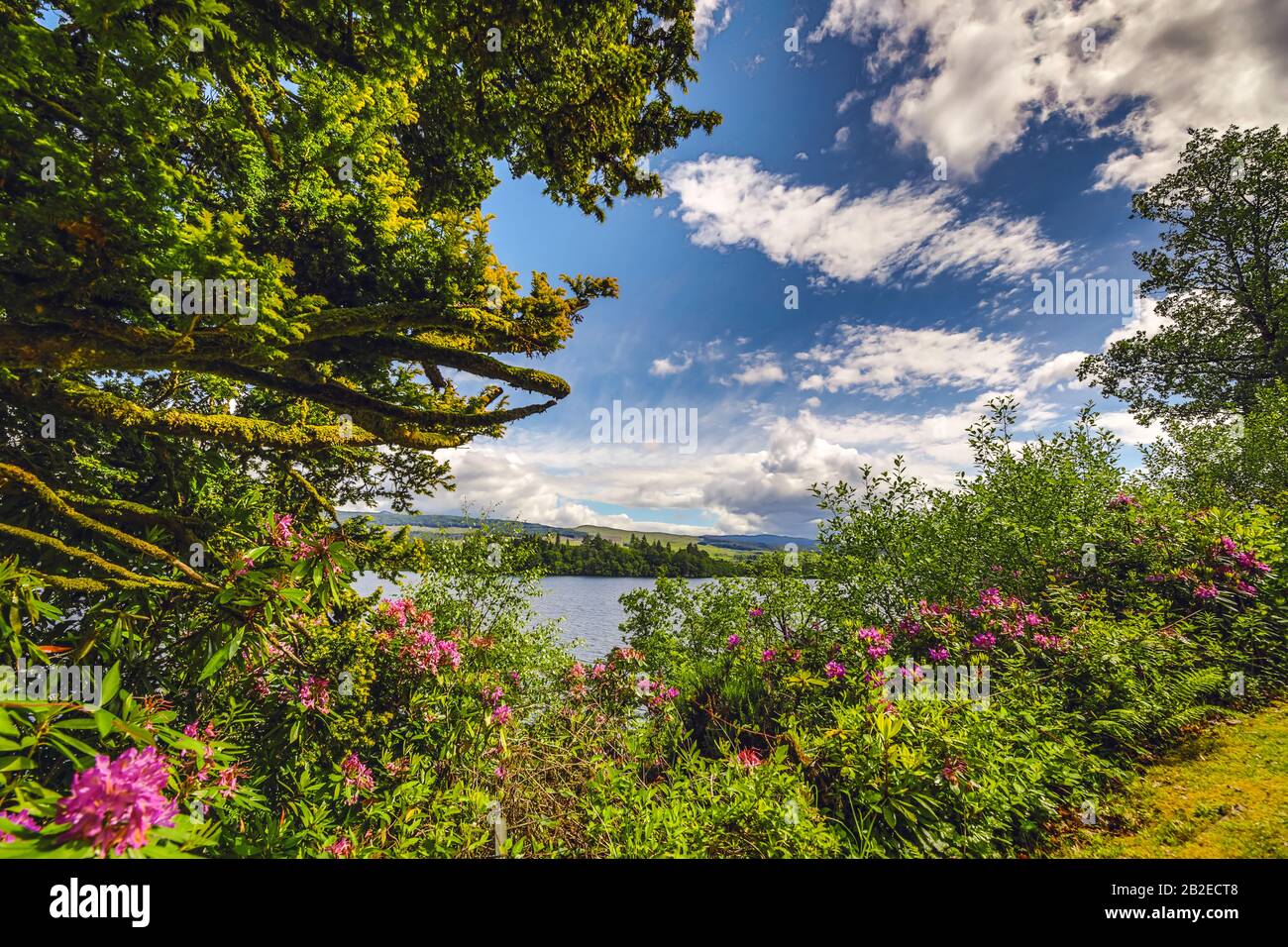 Beautiful scenic landscape of Scotland nature with beautiful evening ...