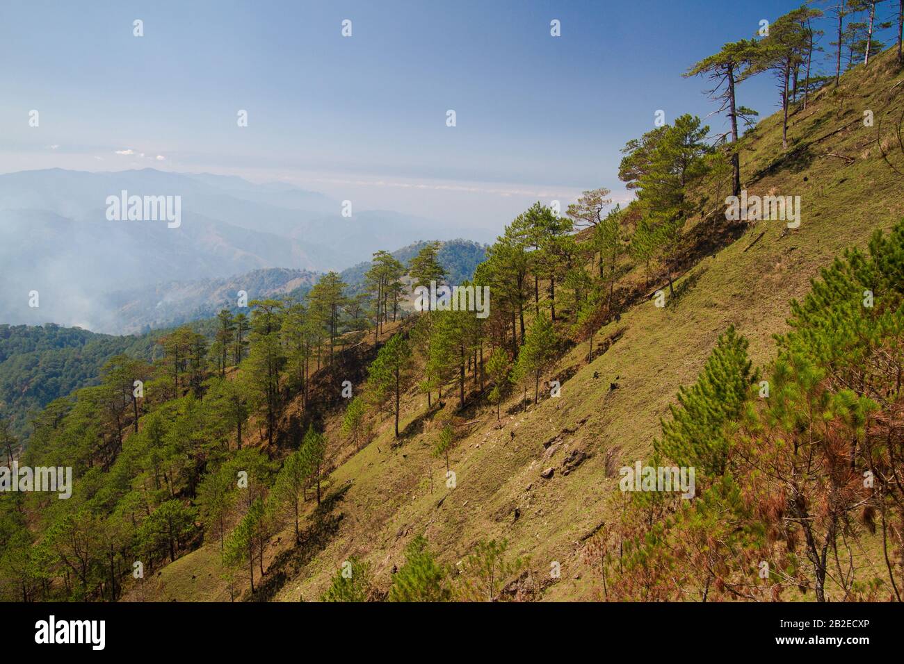 Slope of Mount Ugo in the Philippines Stock Photo - Alamy