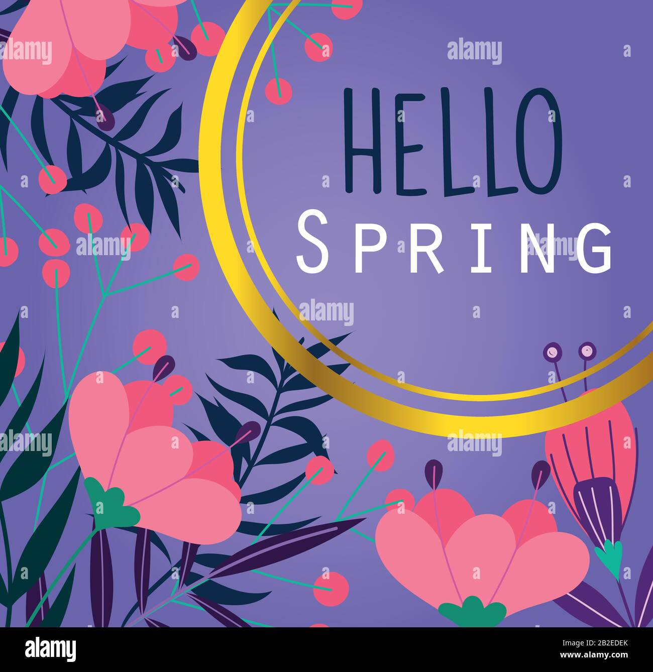 hello spring, lettering beautiful flowers leaves purple background ...