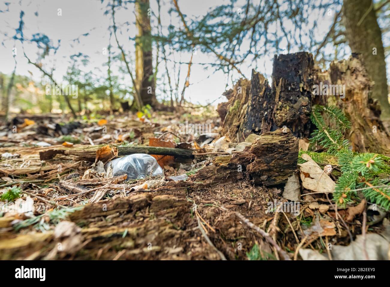 Plastic bottle waste in a forest, a big environmental problem, keep it ...