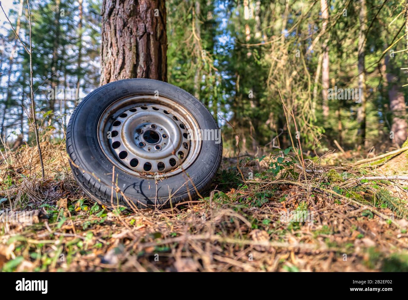 Waste and nature pollution, an nvironmental elapse in a forest, a left ...