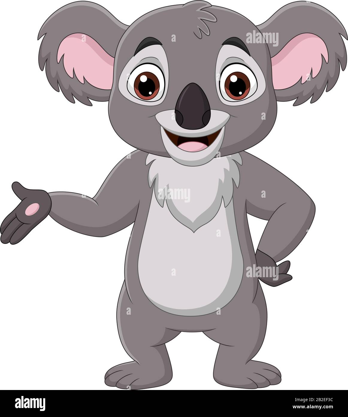 Cartoon happy koala presenting on white background Stock Vector Image ...