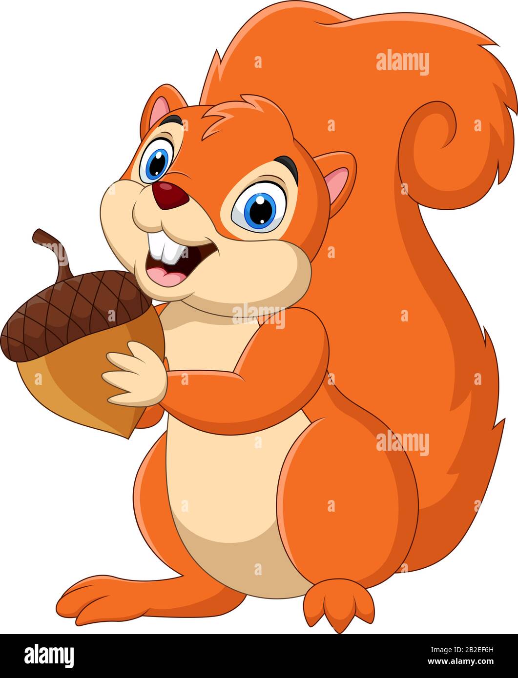 Squirrel With Nut Cartoon