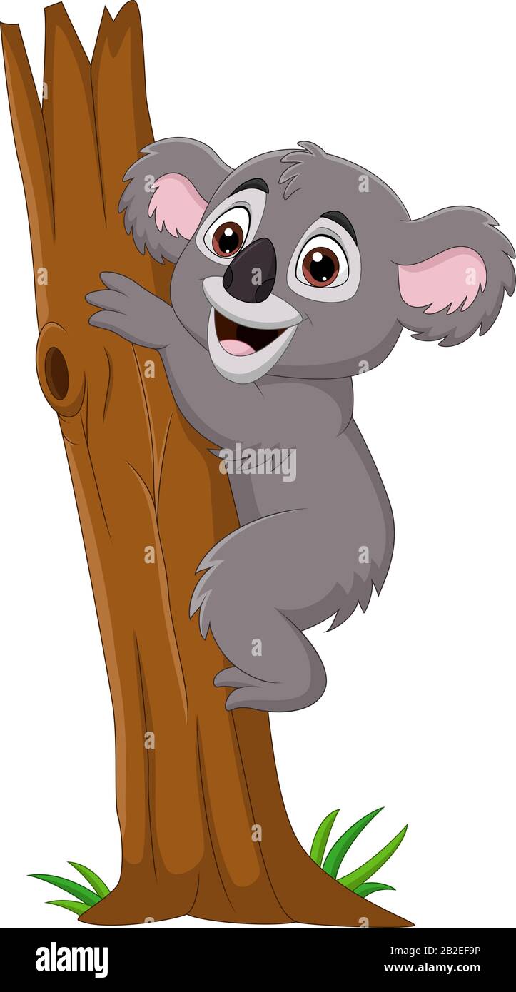 Koala Cartoon On Tree