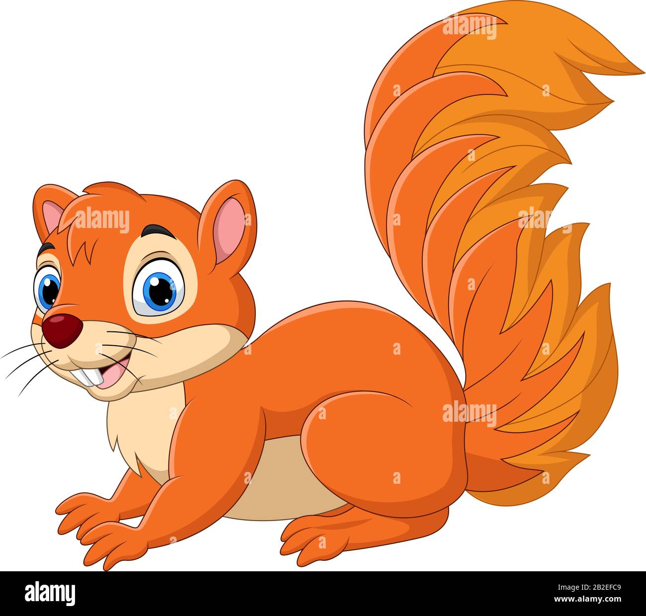Cartoon funny squirrel isolated on white background Stock Vector Image ...