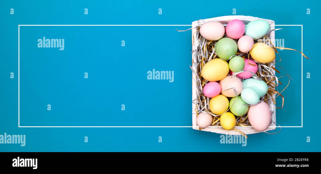 Multicolor eggs in a white tray. Creative Easter concept. Modern solid ...