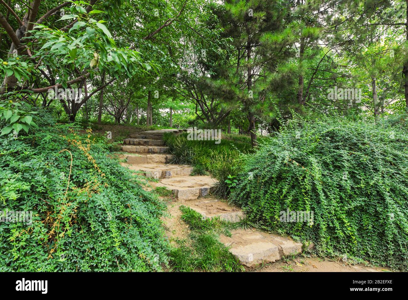 Traditional Chinese City Garden Park in Beijing Stock Photo - Alamy