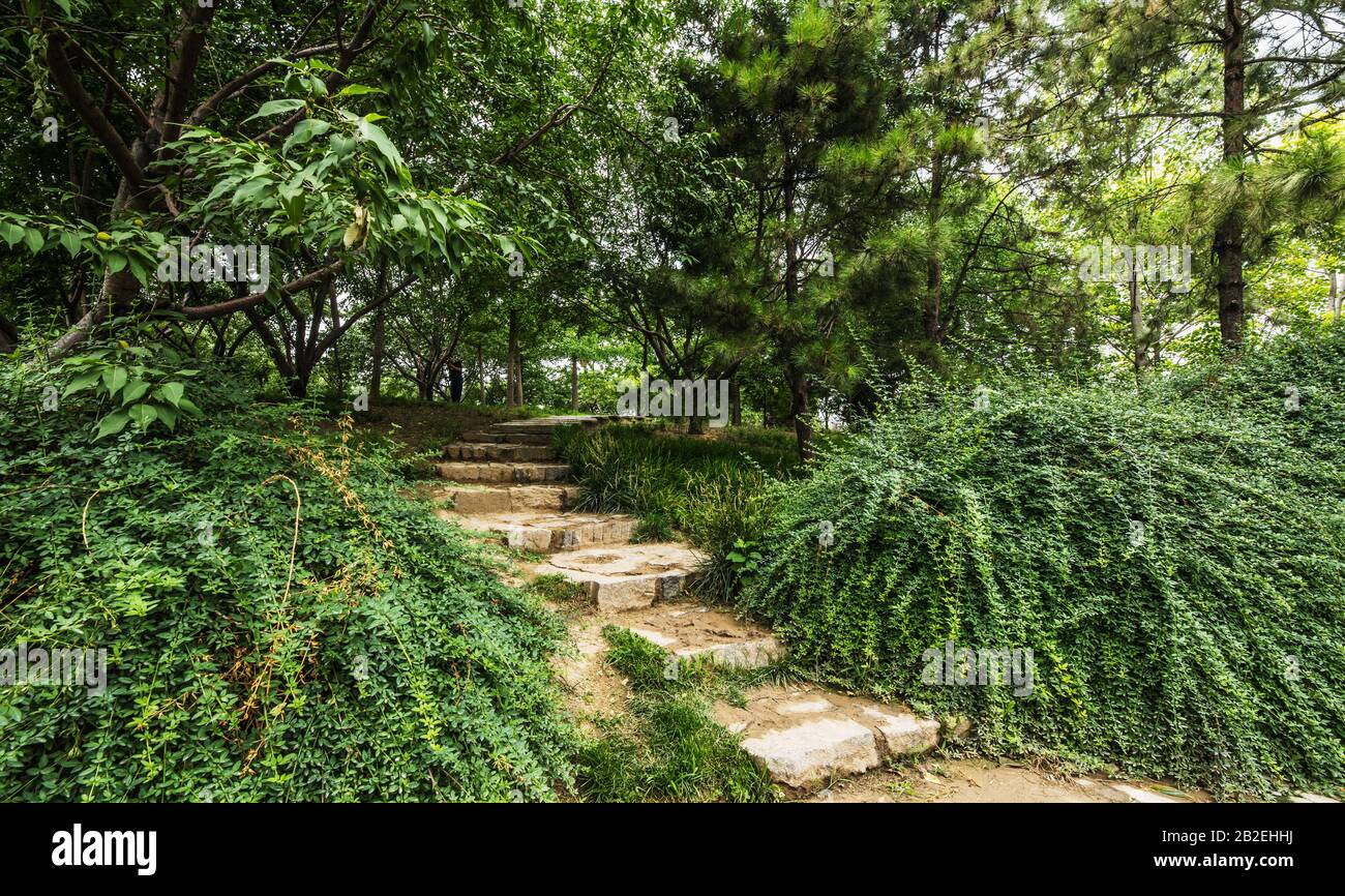 Traditional Chinese City Garden Park in Beijing Stock Photo - Alamy