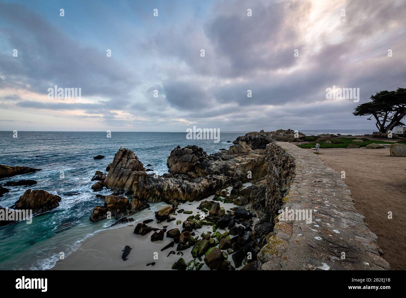 Monterey bay shoreline hi-res stock photography and images - Alamy