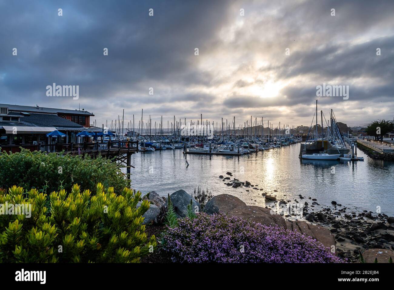Monterey bay coastal trail hi-res stock photography and images - Alamy
