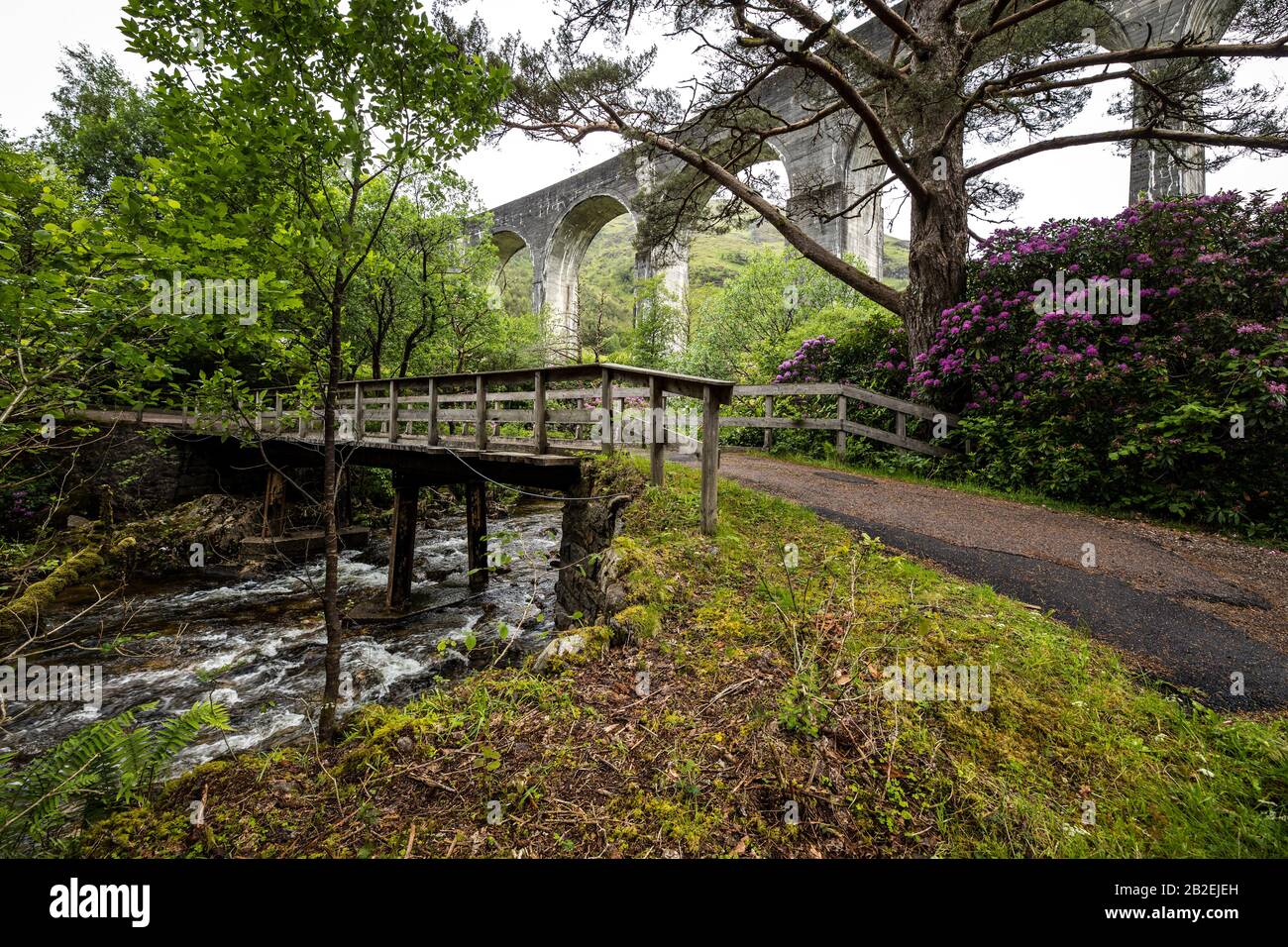 Old bridge and picturesque Scotland morning landscape Stock Photo - Alamy