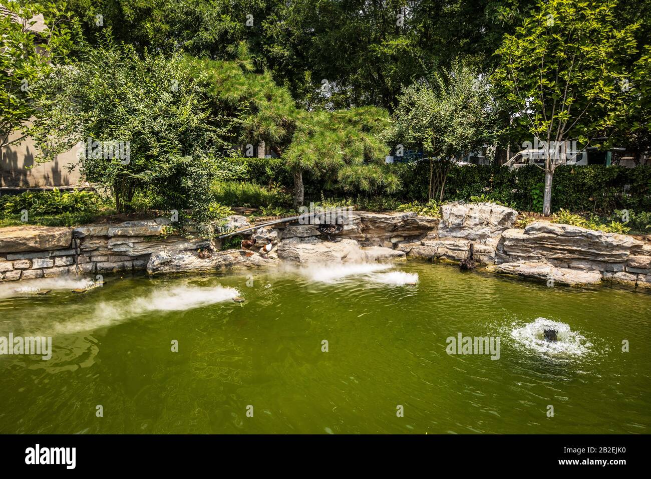 Traditional Chinese City Garden Park in Beijing Stock Photo - Alamy