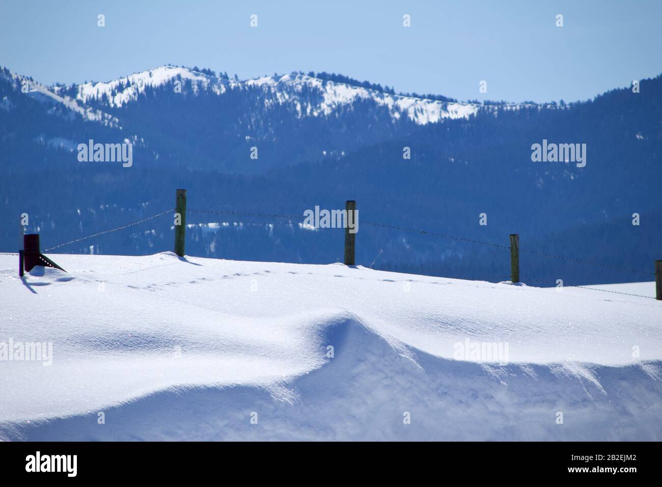 Snowy landscape with fence and trees hi-res stock photography and ...