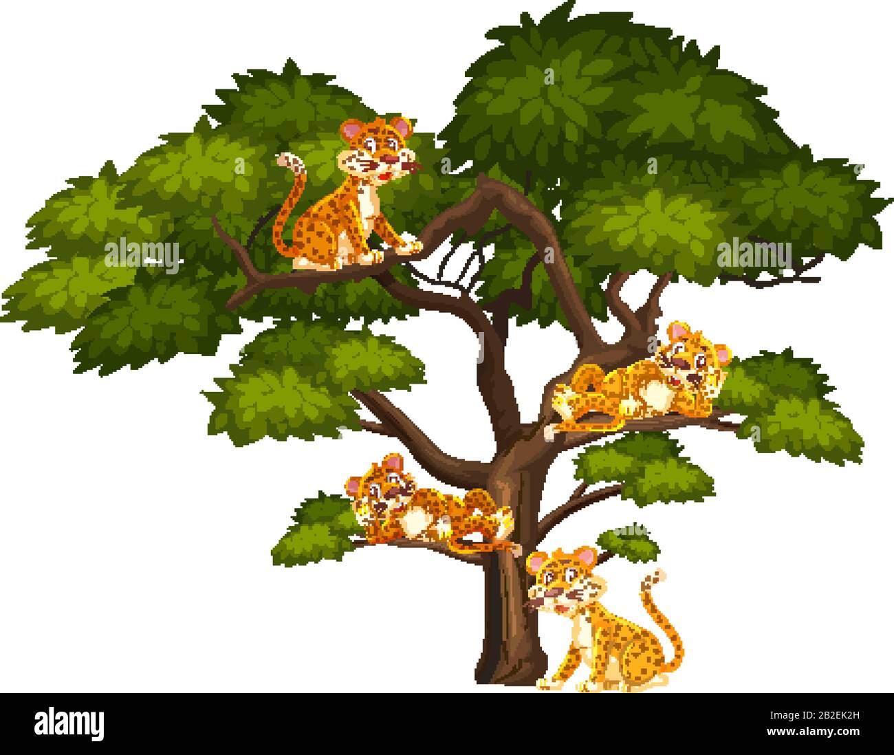 Four tigers sitting on the big tree illustration Stock Vector Image ...