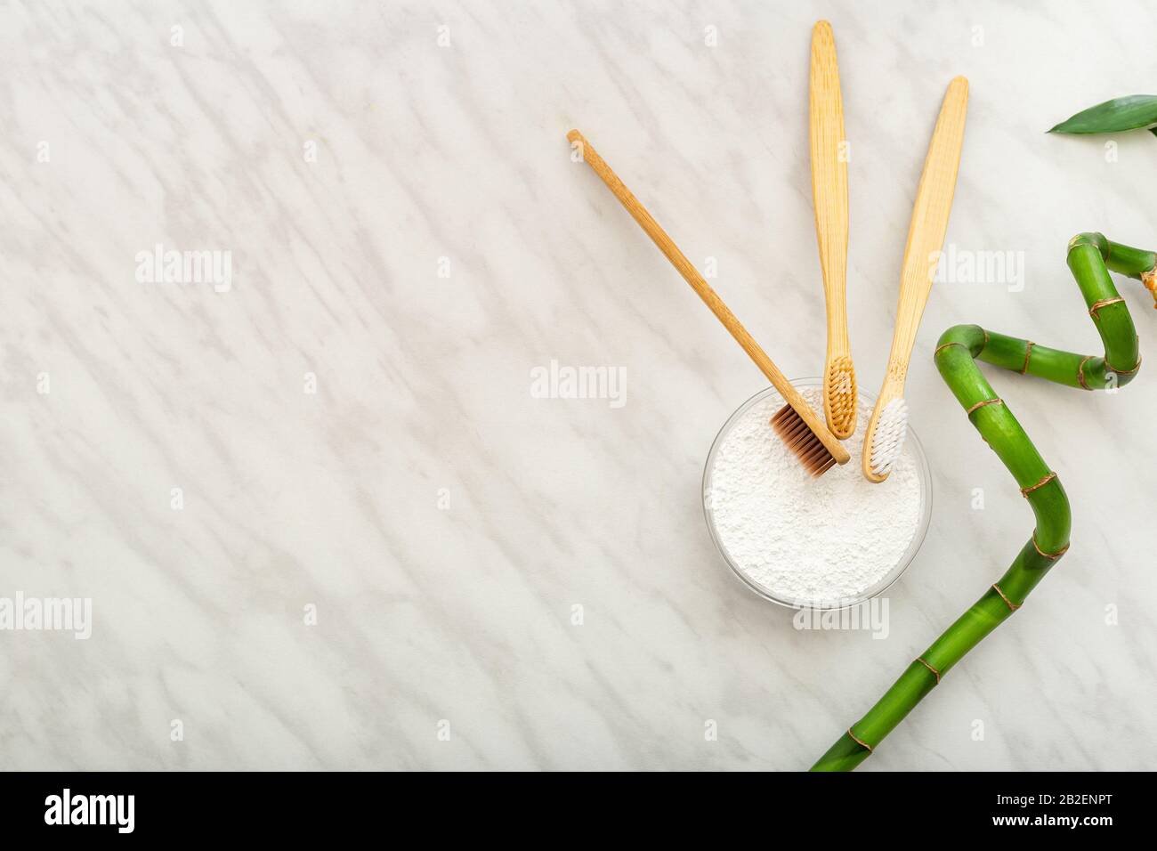 Bamboo toothbrush, bamboo plant dentifrice tooth powder on white marble ...