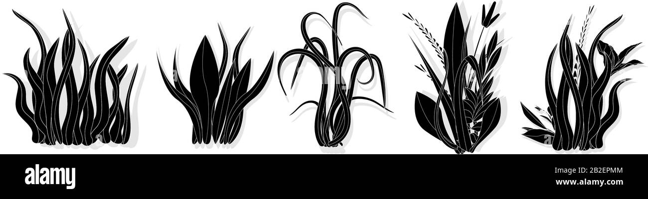 Vector illustration of grass, natural grass elements isolated white ...
