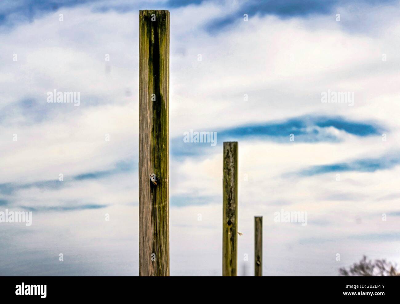 Three sticks hi-res stock photography and images - Alamy