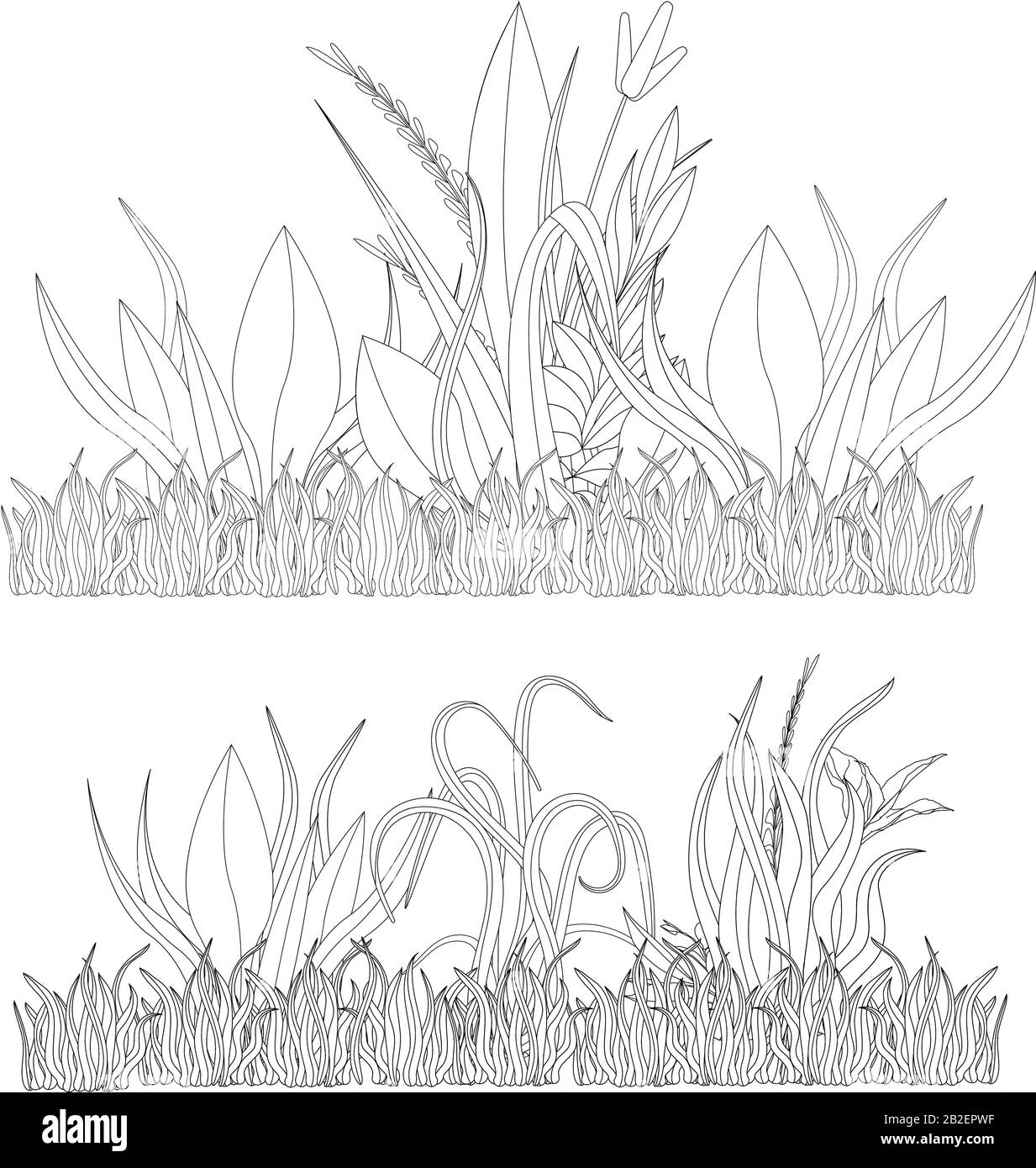 Vector illustration of grass, natural grass elements isolated white ...