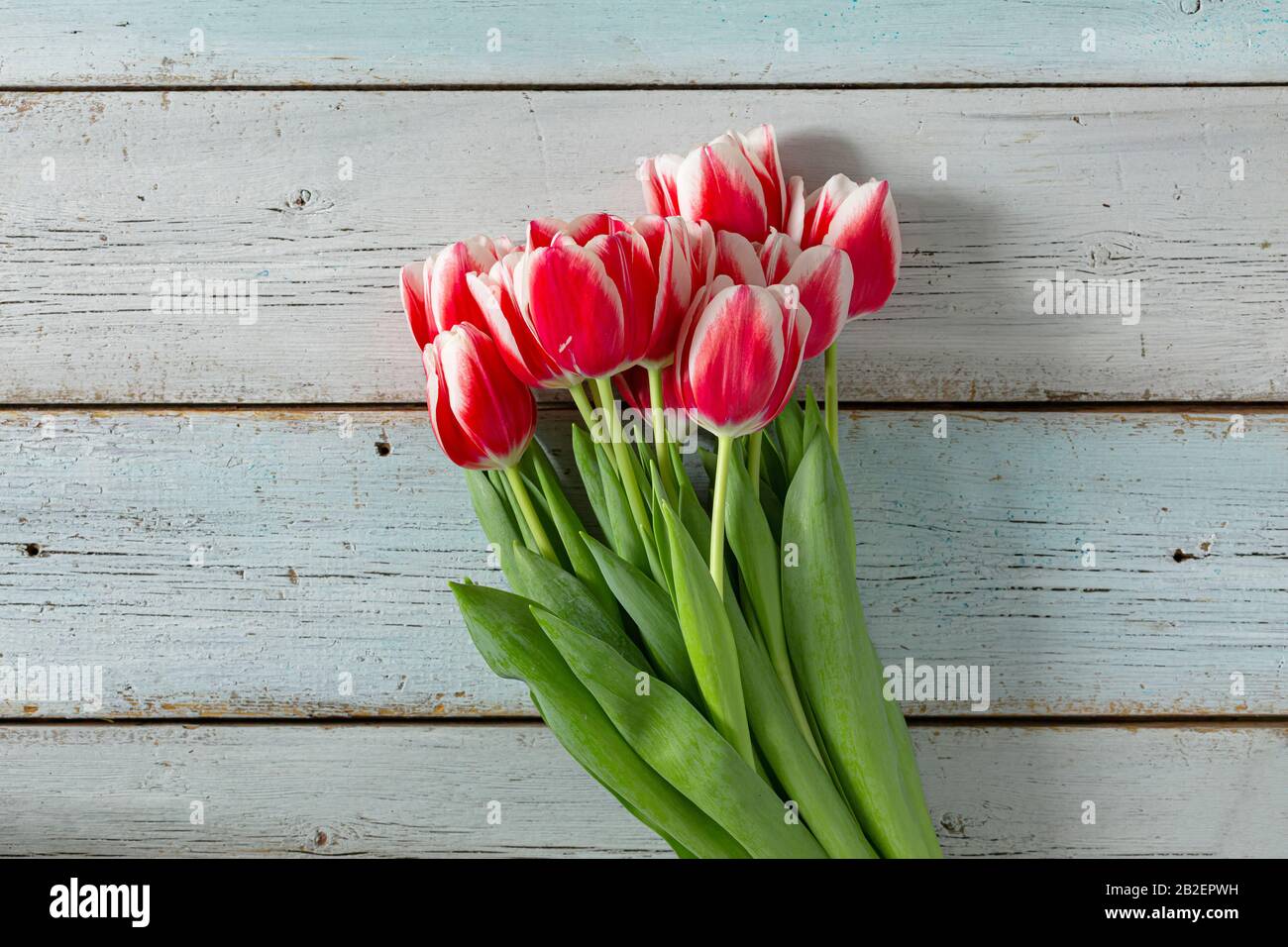 purple, flower, honor, rustic, natural, happy, real flower Stock Photo ...