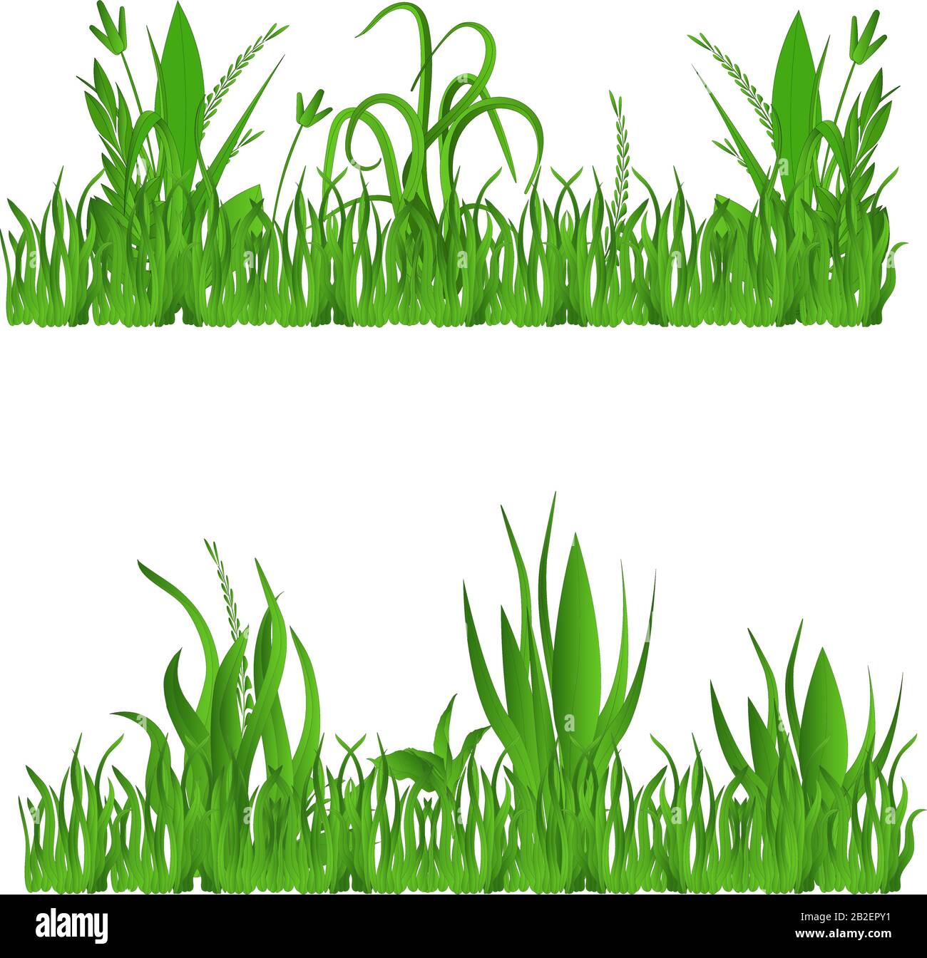 Vector illustration of grass, natural grass elements isolated white ...