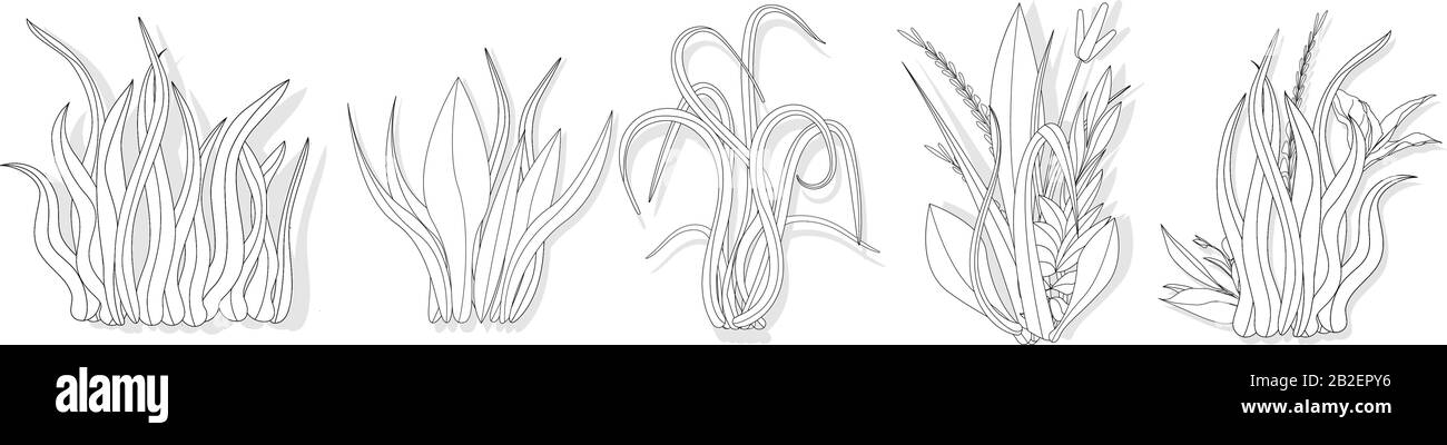 Vector illustration of grass, natural grass elements isolated white ...