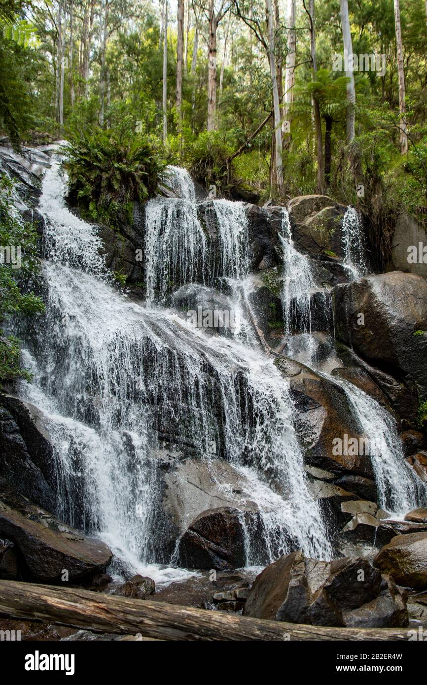 Toorongo river hi-res stock photography and images - Alamy