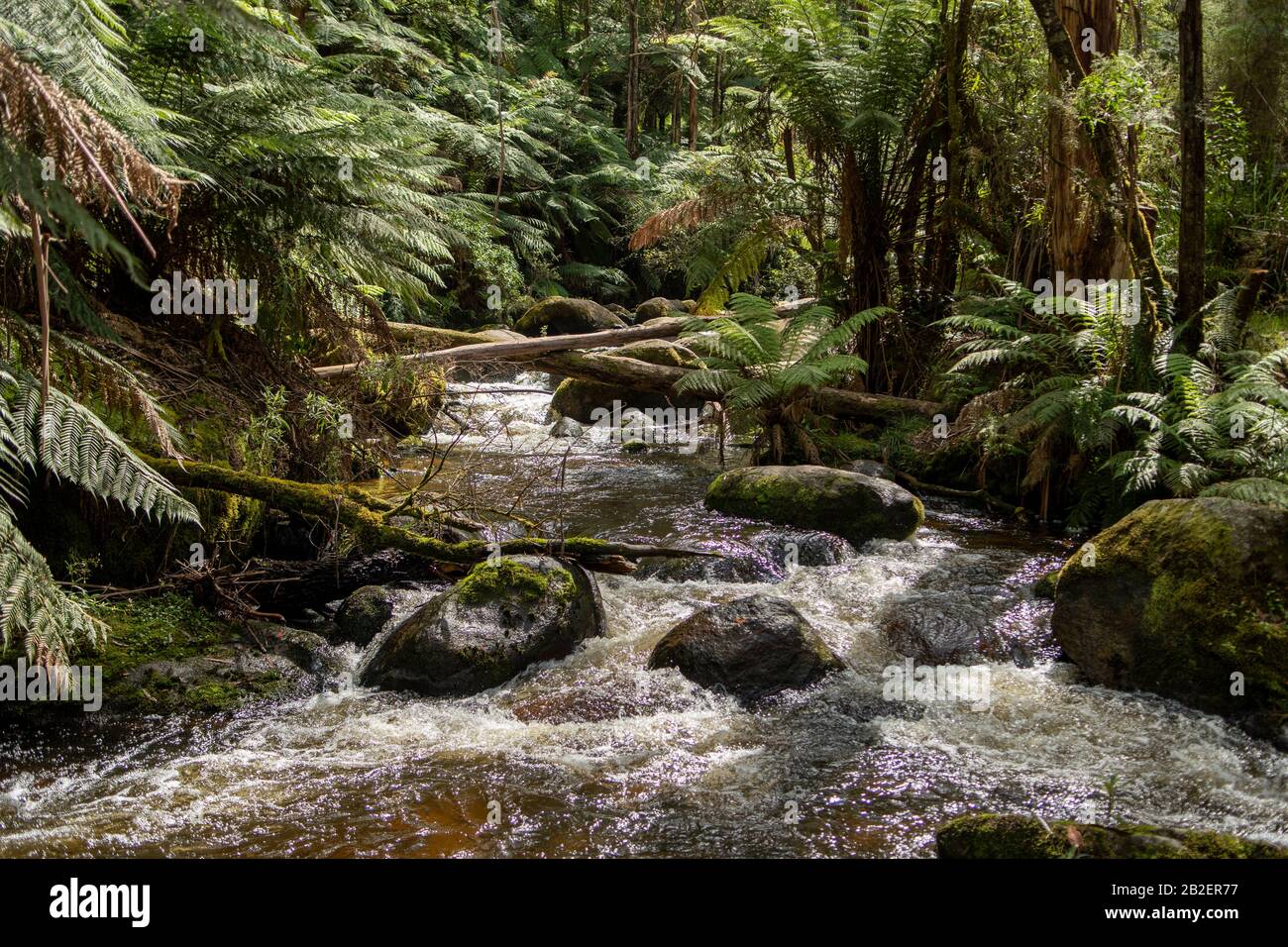 Little river state park hi-res stock photography and images - Alamy