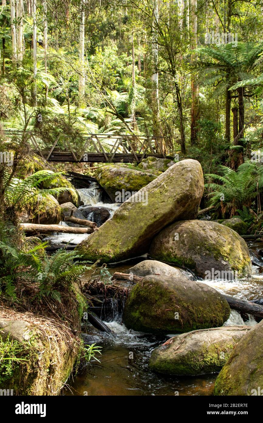 Toorongo river hi-res stock photography and images - Alamy