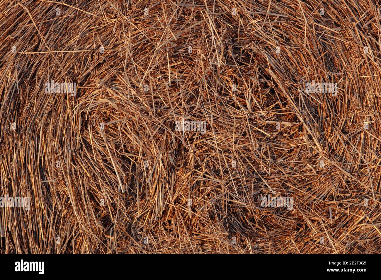 Sustainable agriculture texture hi-res stock photography and images - Alamy