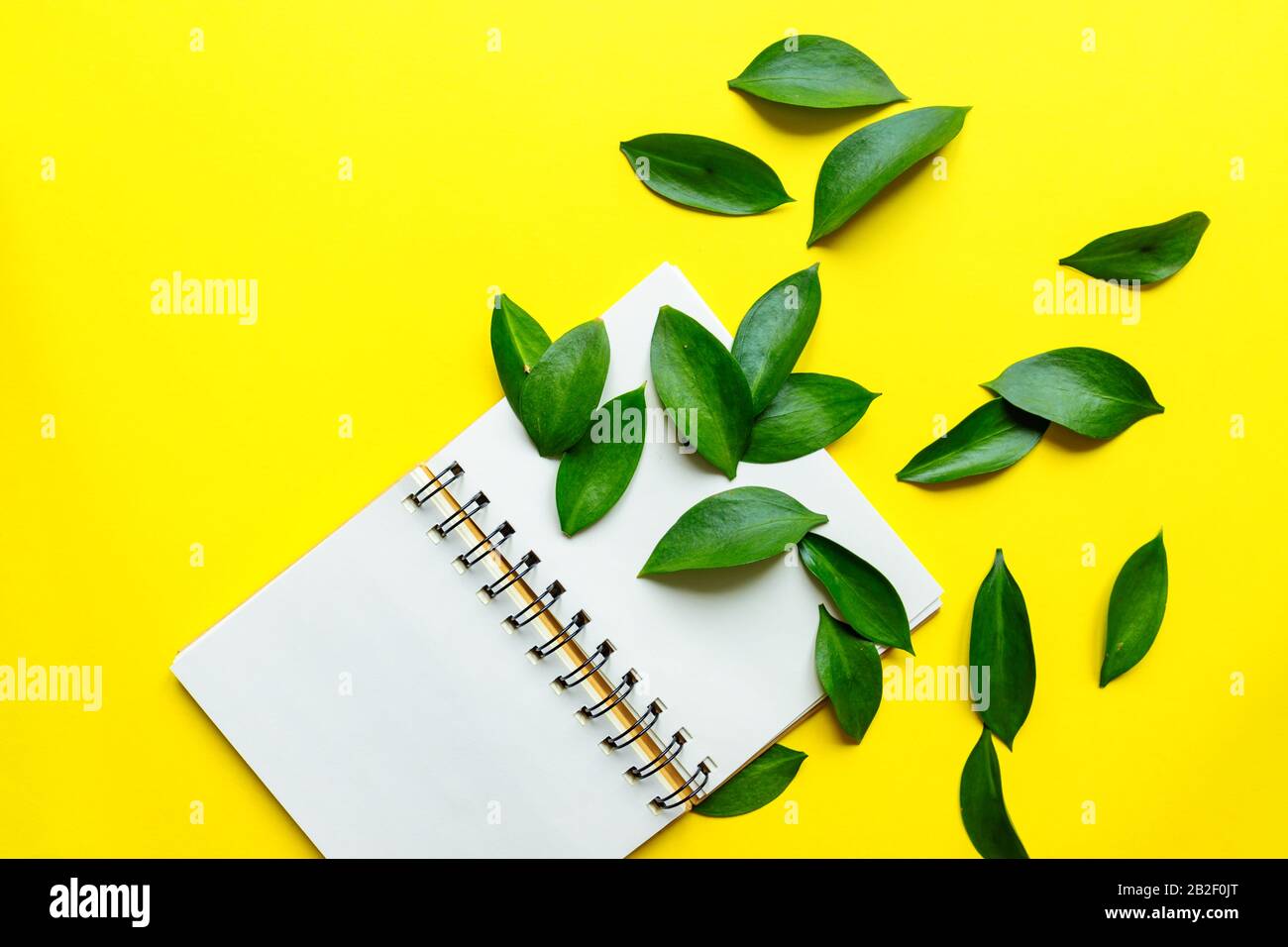 Blank spyral Notepad in the center on yellow background with green ...