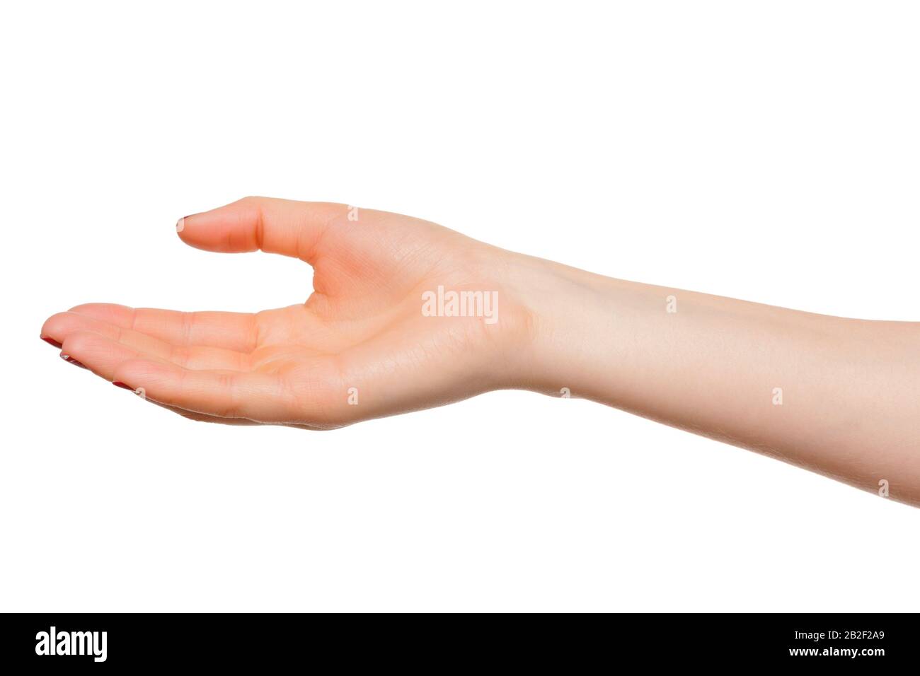 hands take gesture of open palm for holding on white backgrounds ...