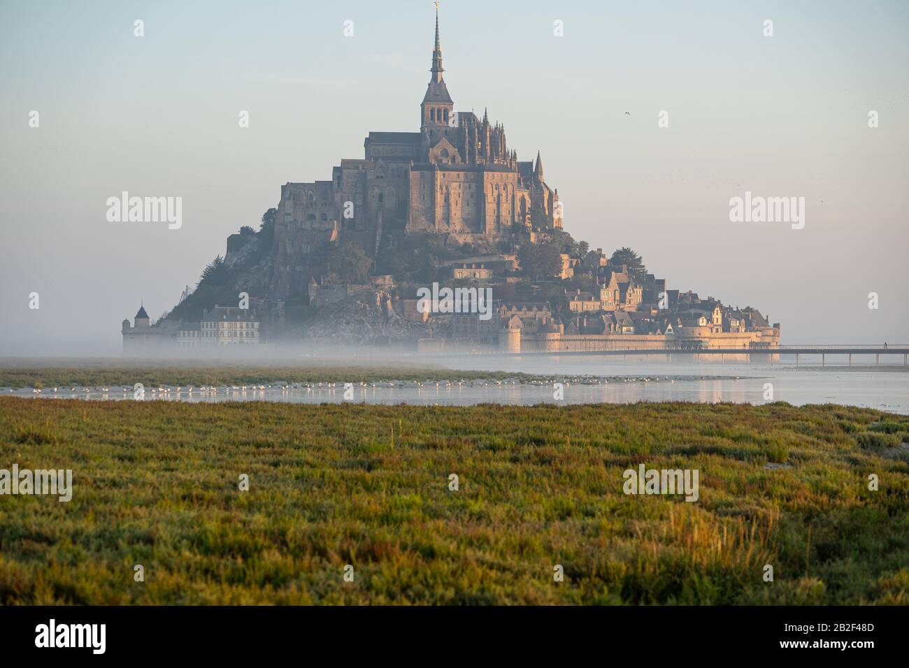 Early morning over the water at Mont Saint Michel, Normandy, France ...